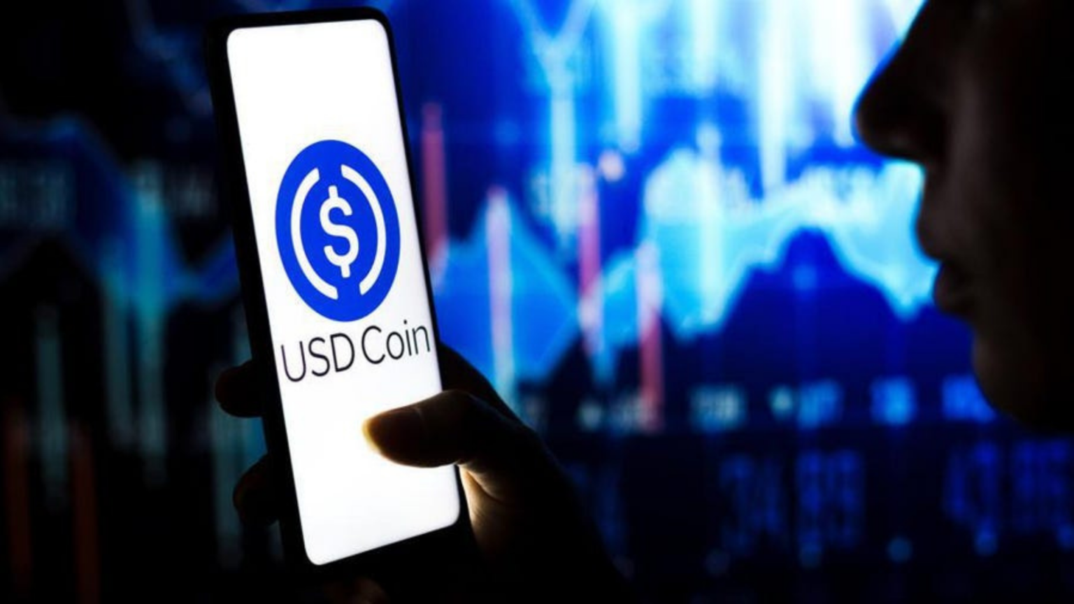 Meta Bayar Kreator Facebook Pakai Stablecoin USDC - Tokocrypto News